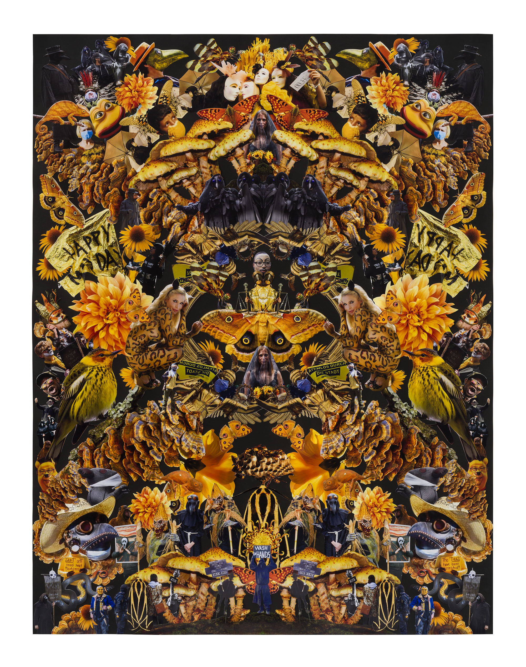 Jemima Wyman: Deep Surface | QUT Art Museum